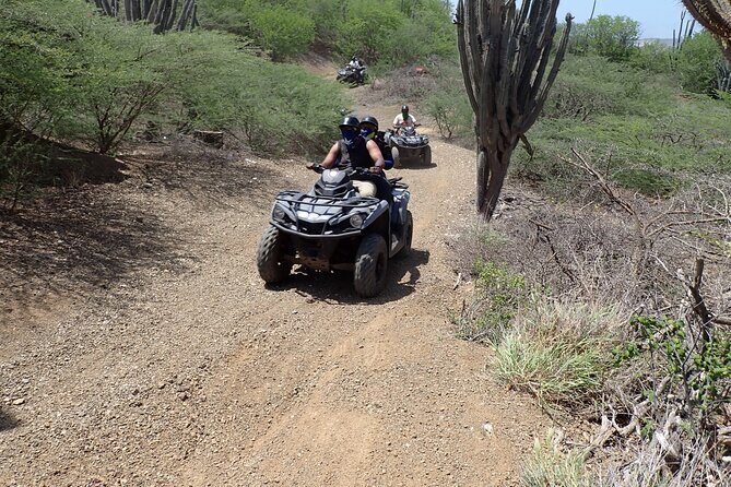 Curacao Half Day or Full Day ATV West Adventure Tour - The Sum Up: Who Should Book?
