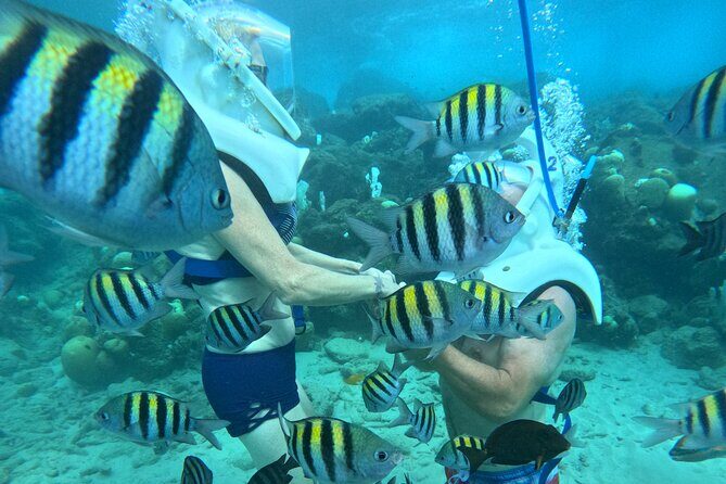 Curacao Helmet Diving-Walk the Ocean Floor, No Swimming Required - Additional Activities and Recommendations