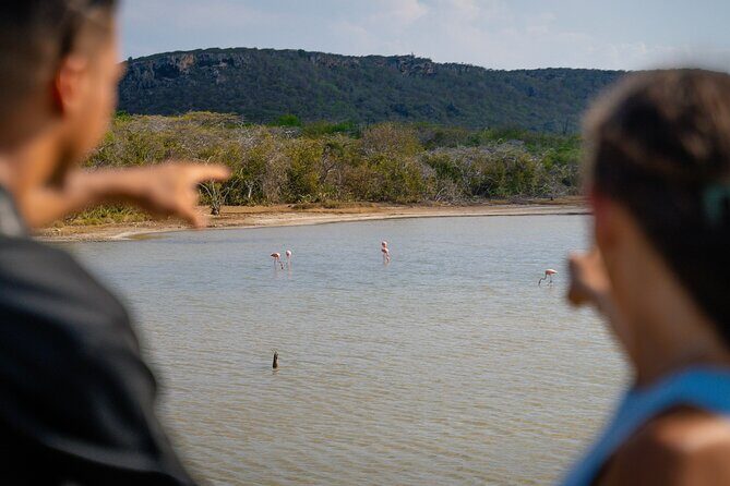 Curaçao Island Tour - Authentic Experiences and Cultural Insights