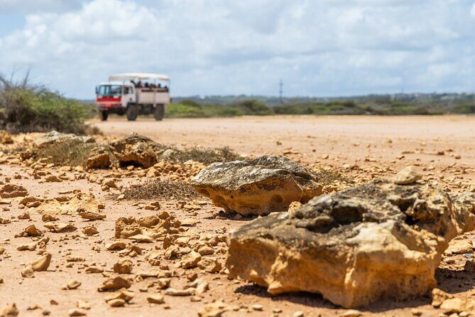 Curacao Jeep Safari Tour - Who Will Love This Tour