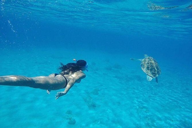 Curaçao Nature Lovers Tour - What’s Included and What’s Not