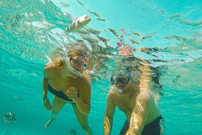 Curacao: Private Boat Tour Half Day - Key Points