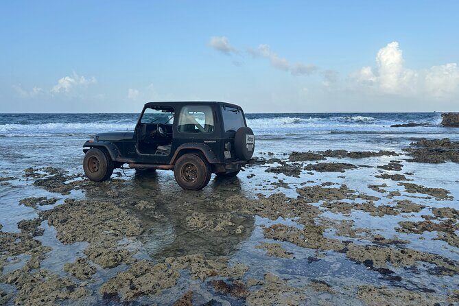 Curacao Private Jeep Off-Road Tour to Swimming with Sea Turtles - Final Thoughts: Is This Tour Right for You?
