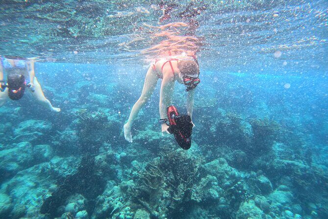 Curacao Reef Sublue Scooters Experience - Authentic Traveler Impressions