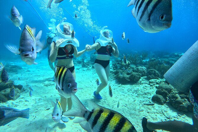 Curacao Sea Trek Snuba Combo Walk Tour and Dive the Ocean - The Sum Up: The Best of Curaçao Underwater