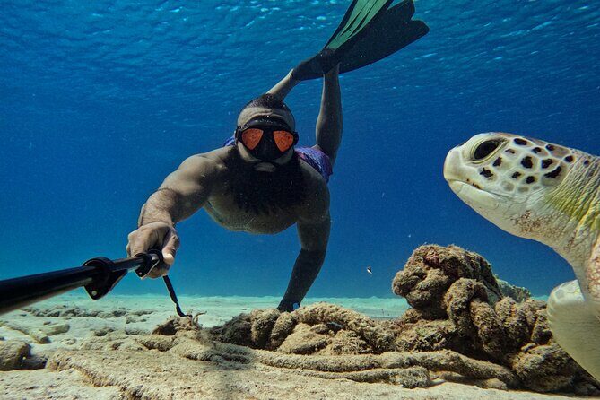 Curaçao Seabob in Playa Piskado Adventure with Sea Turtles - Who Should Consider This Tour?