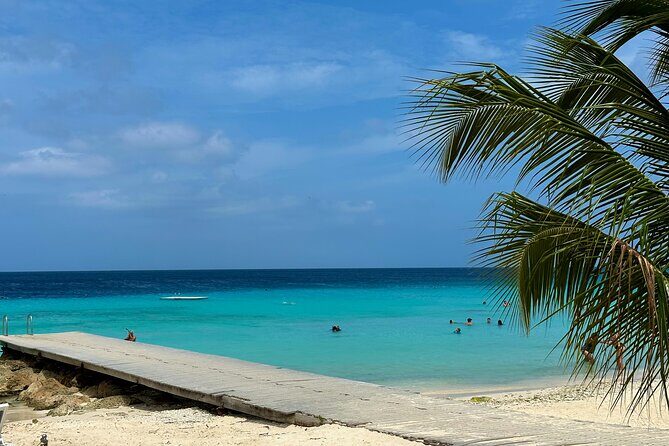 Curacao's Beaches & Blowholes: Exclusive 4-Hour Private Tour - Exploring Curacao’s Coastal Beauty: What to Expect