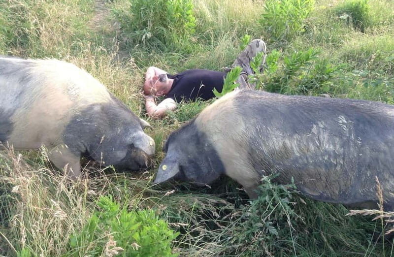 Cured Meat & Olive Oil Tasting & Visit near Pisa & Livorno - FAQs