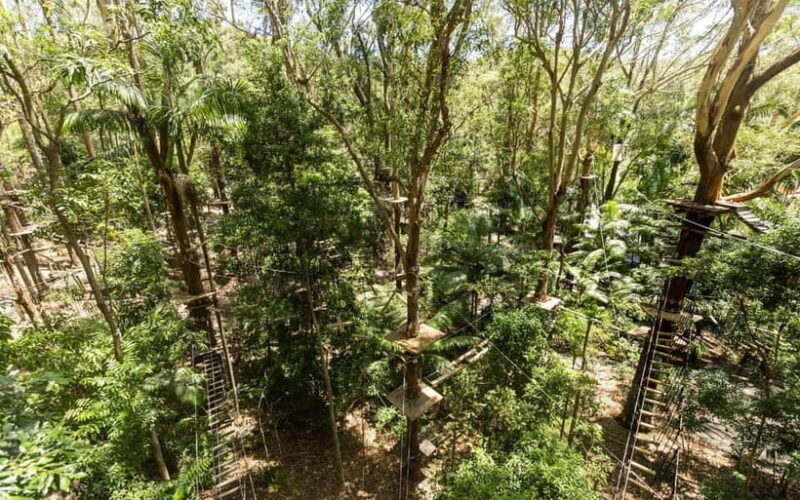 Currumbin: Treetop Challenge Adventure Park - Who Will Love This?