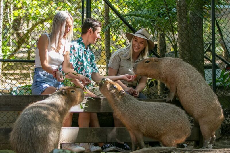 Currumbin Wildlife Sanctuary Entry Ticket - FAQ