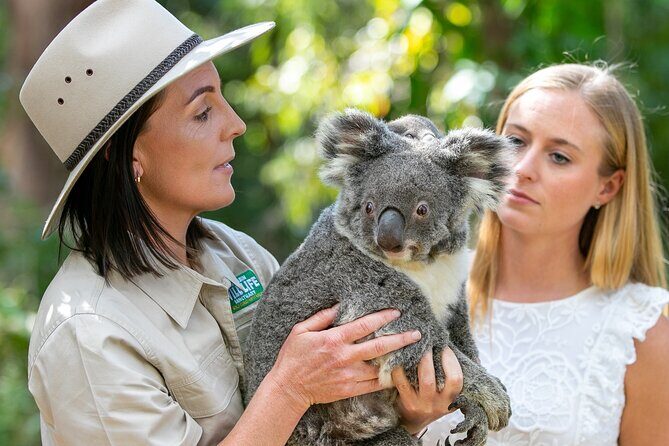 Currumbin Wildlife Sanctuary General Entry Ticket - In The Sum Up