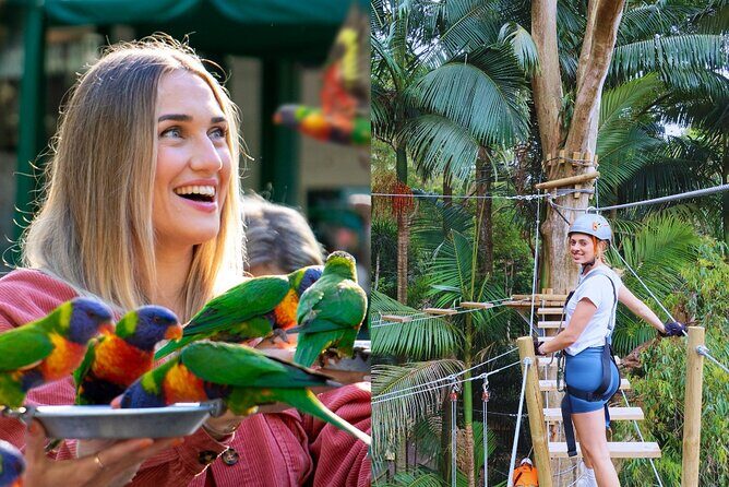 Currumbin Wildlife Sanctuary Pass + The Treetop Challenge - A Deep Dive into the Experience: What’s Included and What to Expect