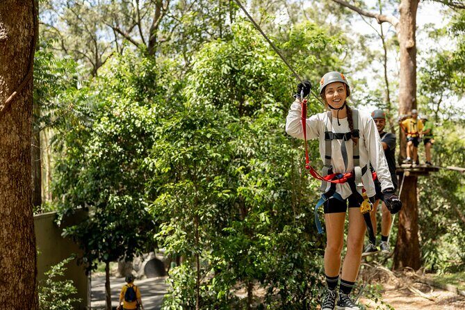 Currumbin Wildlife Sanctuary Pass + The Treetop Challenge - FAQs