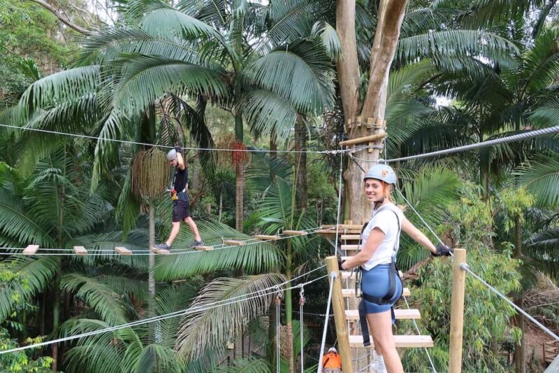 Currumbin Wildlife Sanctuary & TreeTop Challenge Combo - Key Points