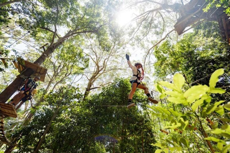 Currumbin Wildlife Sanctuary & TreeTop Challenge Combo - Who Will Love This Experience?