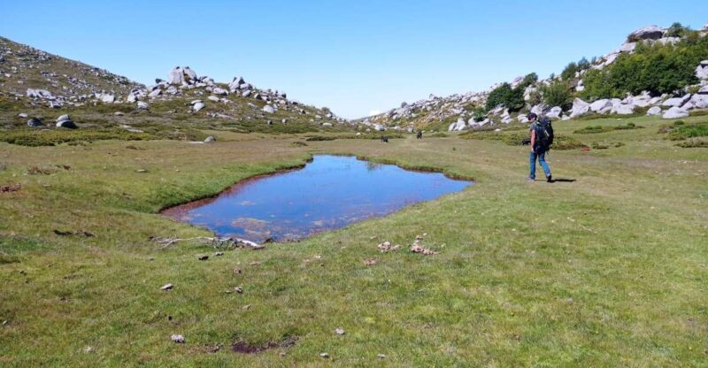 Cuscionu's plateau, 1000 waterholes'grass : pozzines - What To Expect and How to Prepare