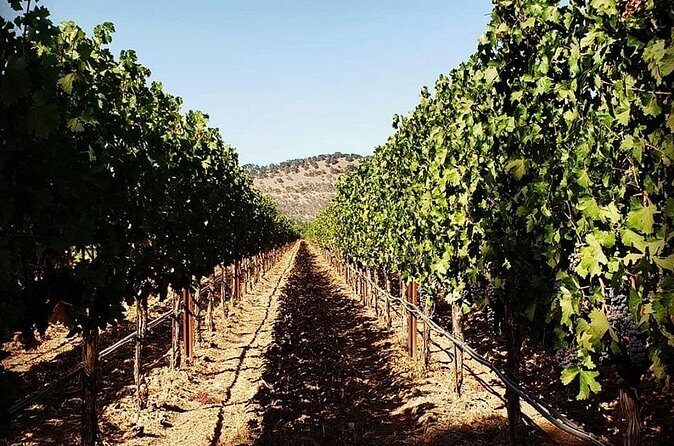 Custom 6-Hour Napa Valley Wine Tour in a Luxury Vehicle - FAQ: Practical Questions about the Napa Valley Private Wine Tour