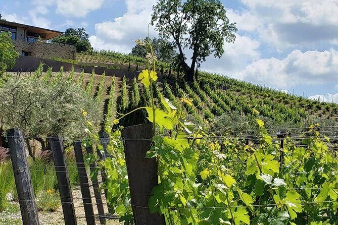 Custom 8-Hour Napa Valley Wine Tour in a Luxury Vehicle - Final Thoughts