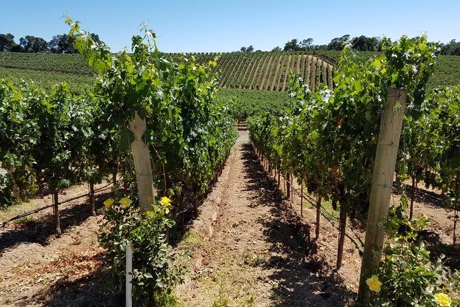 Custom 8-Hour Napa Valley Wine Tour in a Luxury Vehicle - FAQ