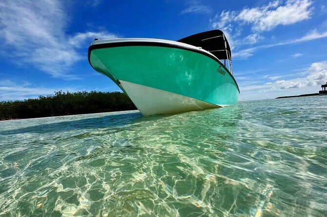 Custom Charters with a Local Captain - The beauty of the sandbars