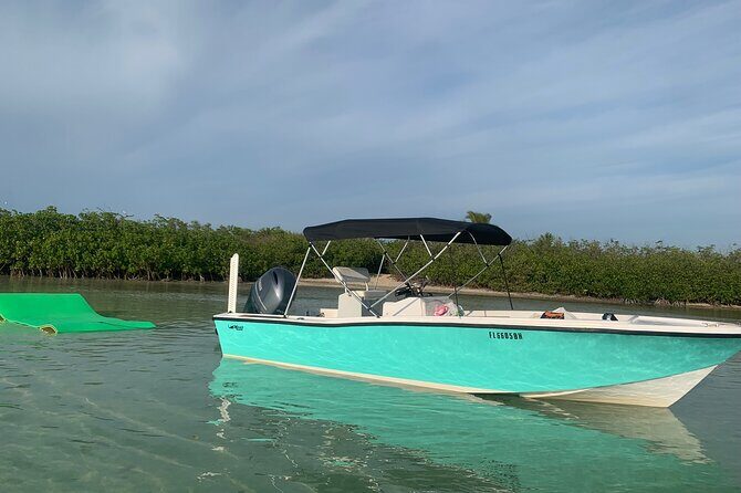 Custom Charters with a Local Captain - Dolphin watching and snorkeling