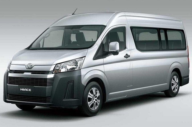 Custom Family and Small Group Transfers for Comfortable Journeys - Authentic Passenger Experiences