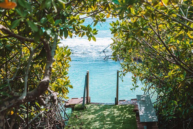 Custom Full-Day Private Adventure: Snorkel & Explore Hidden Spots - Introduction: A Unique Aruba Day Out