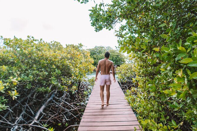 Custom Full-Day Private Adventure: Snorkel & Explore Hidden Spots - The Experience for Different Types of Travelers