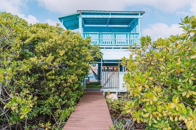 Custom Full-Day Private Adventure: Snorkel & Explore Hidden Spots - The Sum Up: Who Will Love This Tour