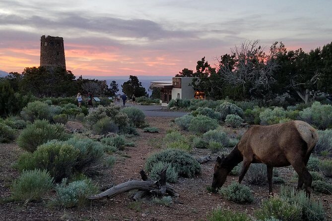 Custom Grand Canyon Day Trip - The Grand Canyon South Rim: A Showstopper