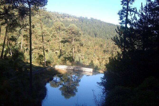 Custom Hiking in the Lions Desert - Key Points