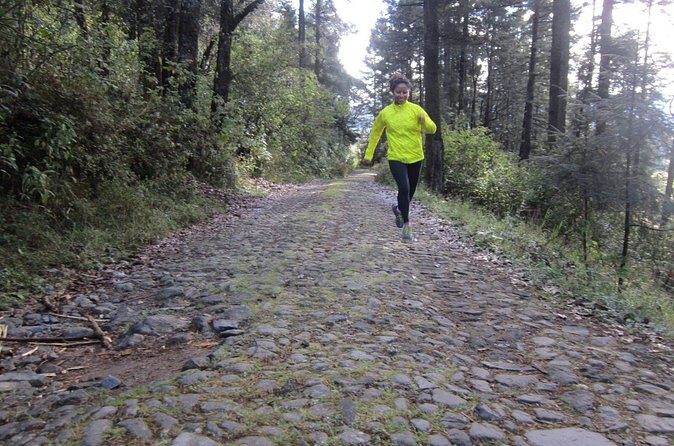 Custom Hiking in the Lions Desert - What Past Participants Might Say