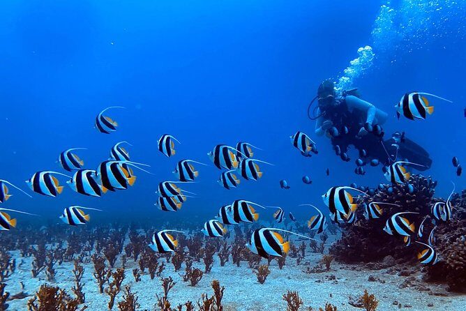 Custom Private Adventure - Who Will Love This Tour?