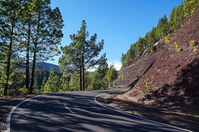 Custom Private Full-Day Tour into the Heart of Tenerife - What the Reviews Tell Us
