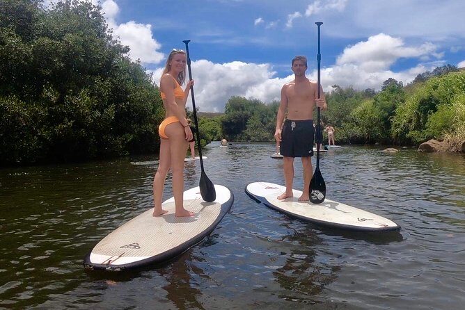Custom Private Multi Day Tours on the island of Oahu Hawaii - Who Will Benefit Most?
