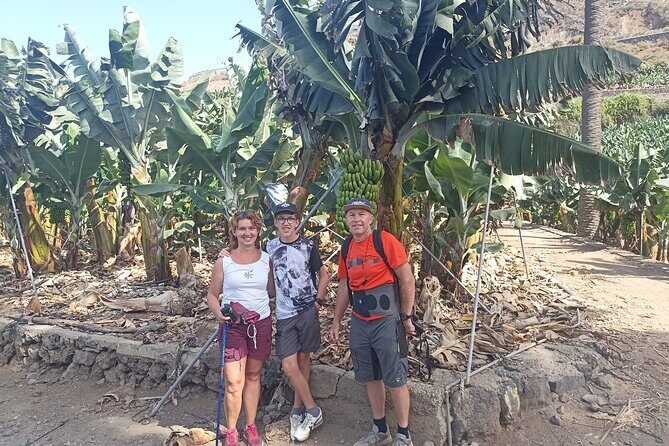Custom Private Tenerife Full Island Car Tour - Frequently Asked Questions