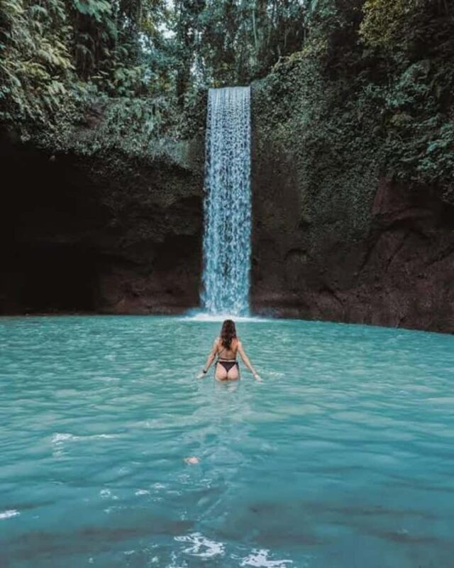 Custom Private Ubud Tour with Flexible Options & Tickets - The Practical Side: What You Need to Know