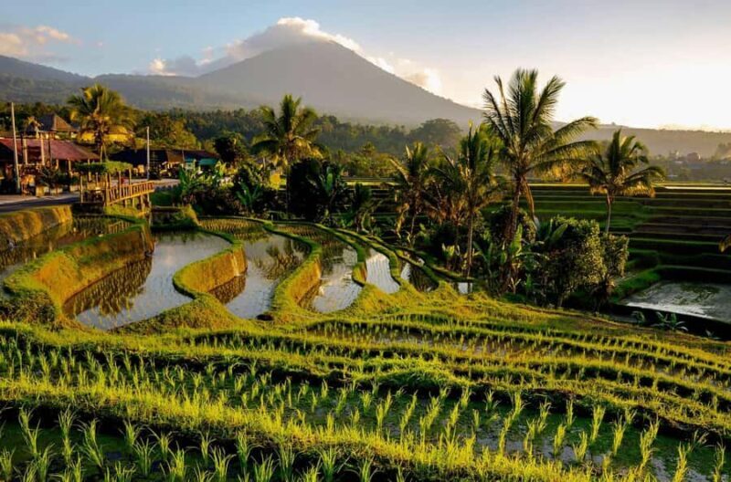 Custom Private Ubud Tour with Flexible Options & Tickets - The Bottom Line: Who Will Love This Tour?