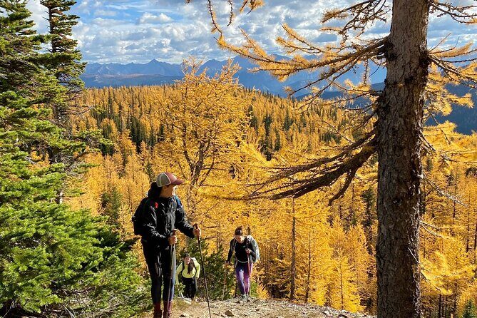 Custom Rocky Mountains Private Car Tour from Calgary - What Does It All Cost, and Is It Worth It?