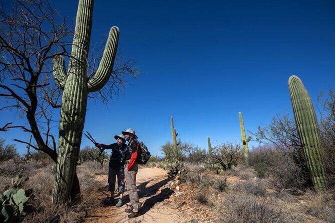 Custom Tucson Day Tour from Phoenix - Why This Tour Delivers Authentic Tucson Experiences