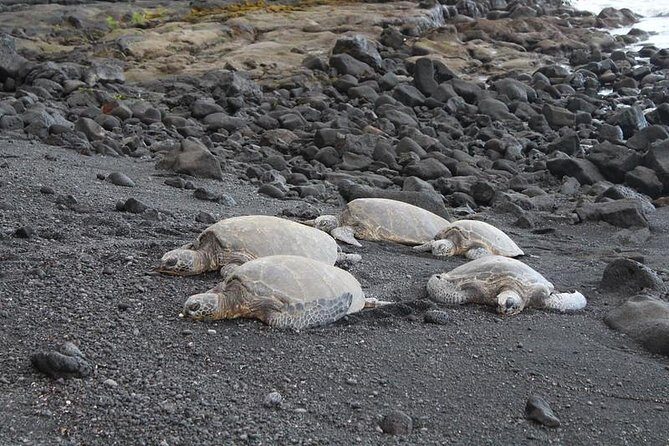 Custom Volcanoes National Park Tour with extra stops - The Experience Through the Eyes of Past Travelers