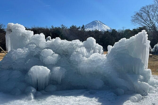 Customisable Mt.Fuji Private Day Trip, English Speaking Driver - The Value of the Tour