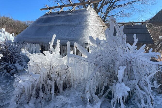 Customisable Mt.Fuji Private Day Trip, English Speaking Driver - Authentic Experiences and Traveler Feedback