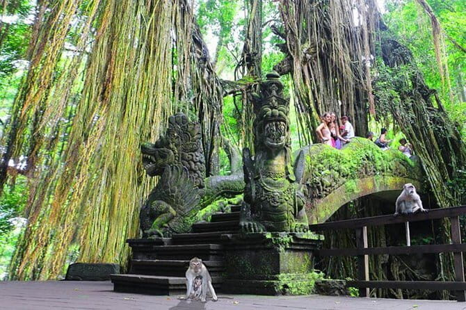 Customizable Bali 5 days Transport Package - Key Points