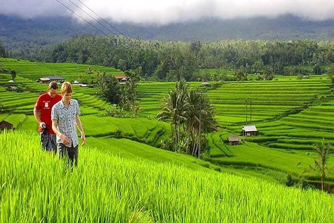 Customizable Bali 5 days Transport Package - An In-Depth Look at What This Package Offers