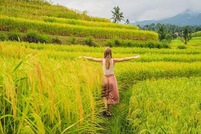 Customizable Bali 5 days Transport Package - The Bottom Line: Who Will Love This?