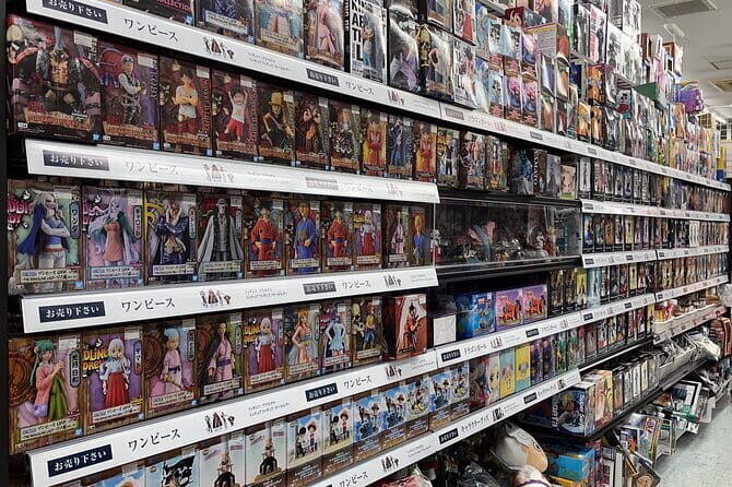 Customizable car tours in Tokyo - FAQ