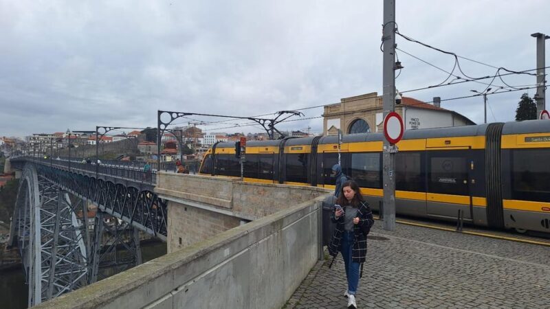 Customizable Full Day Porto Tour: Choose Your Experience - Transportation and Comfort