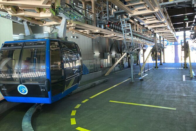 Customizable Hakone Private day Trip, English Speaking driver - Final Thoughts: Is This Tour Right for You?