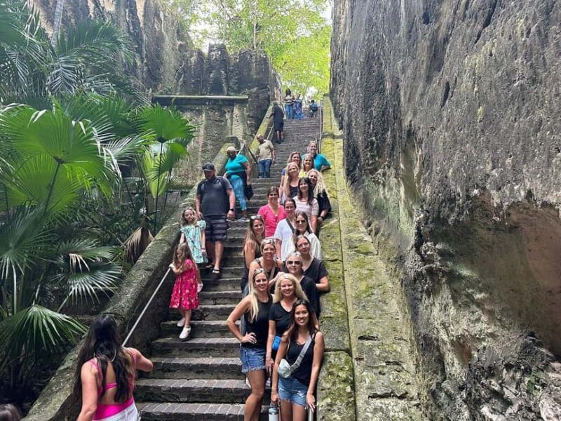 Customizable half day group tour (price per vehicle) - What Makes This Tour Stand Out?